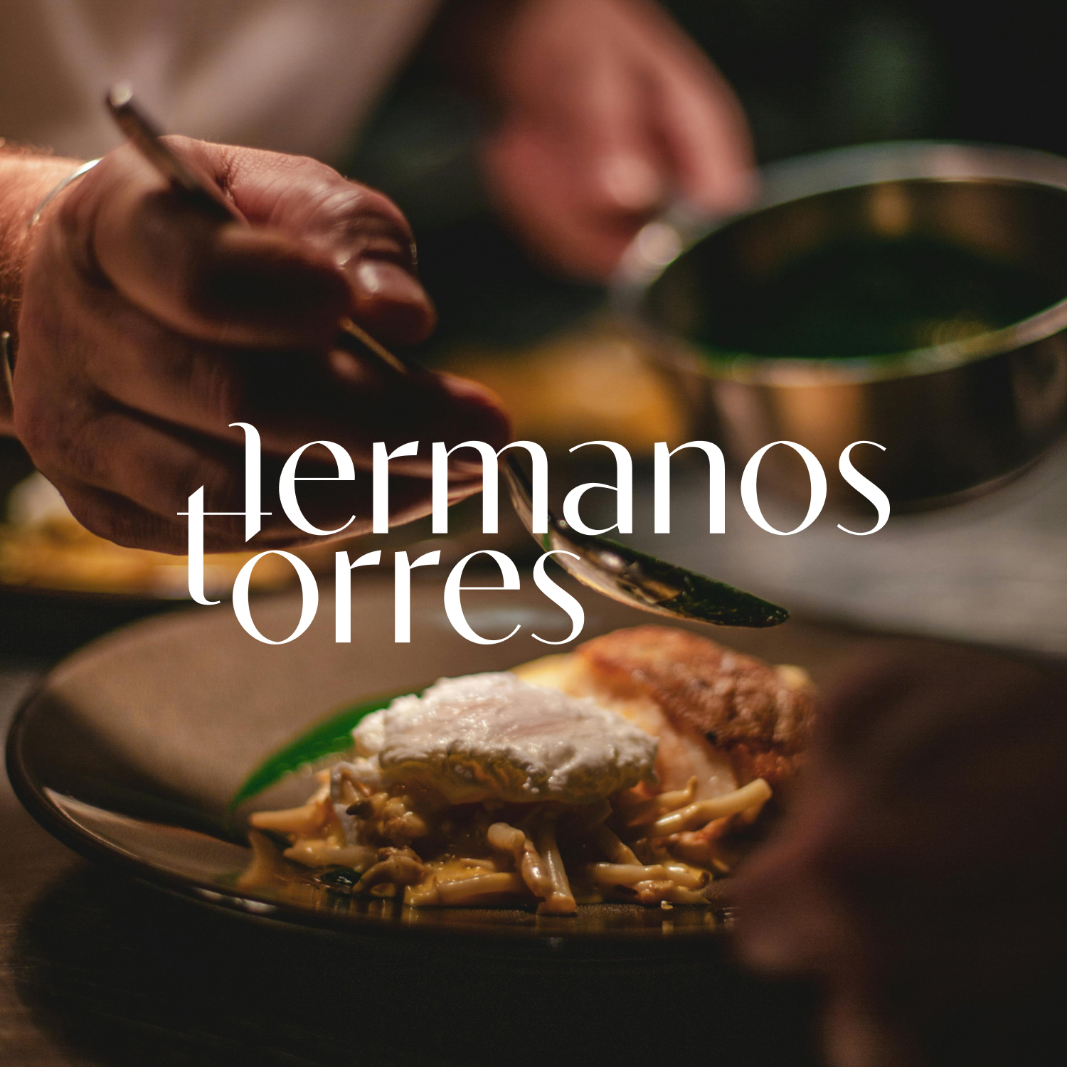Hermanos Torres - Copymouse